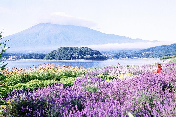 Barrier-Free Private Mt. Fuji Tour for Wheelchair Users - The Accessibility and Convenience of Private Transportation