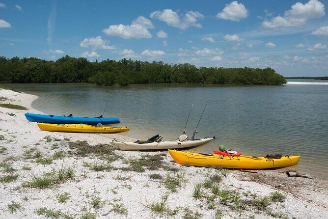 Barrier Island Shelling Tour - Introduction