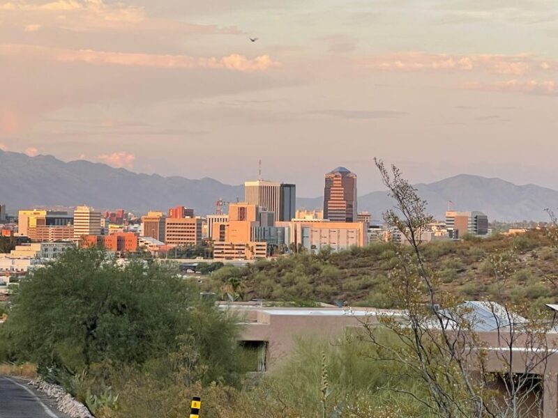 Barrio Viejo Tucson Walking Tour & Scott Avenue with Guide - Who Will Love This Tour?