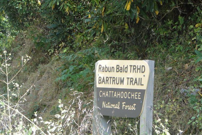 Bartram Trail Hike plus Wine Tasting - The Itinerary in Detail: What You’ll Experience