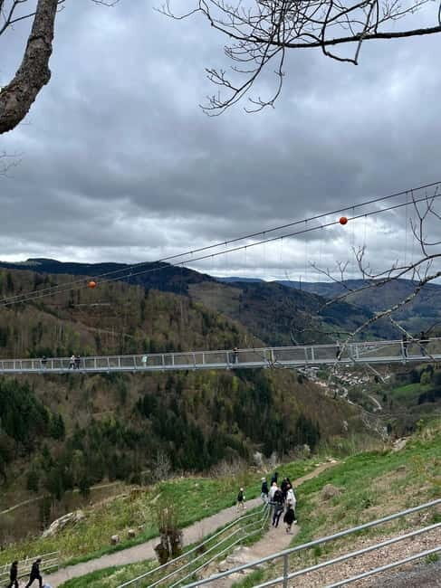 Basel: Black Forest, Waterfall &Mountain, Lakes Private Tour - Key Points