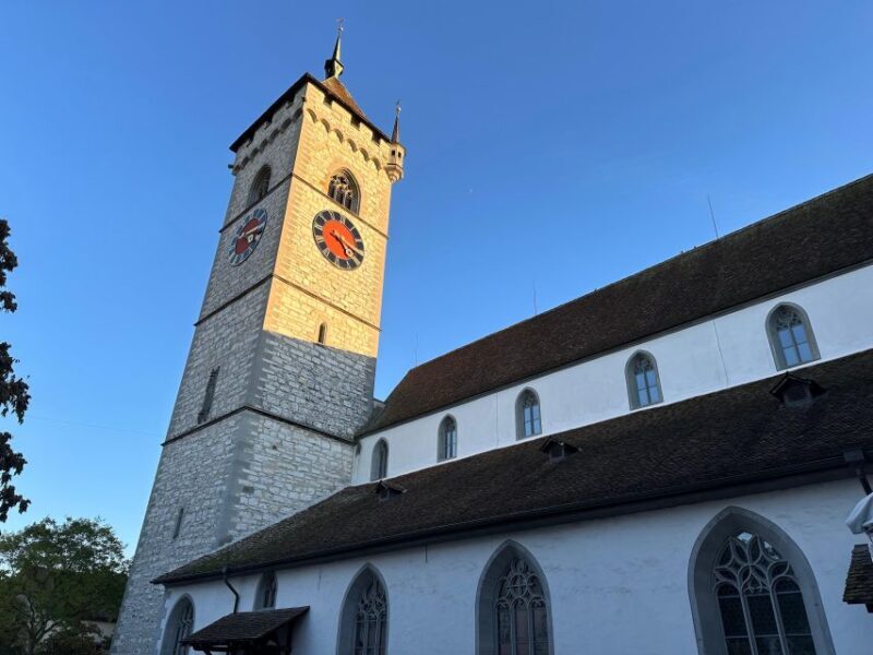 Basel: Stein Am Rhein, Schaffhausen, & Rhine River Cruise - A Day of Swiss Scenic and Historical Highlights