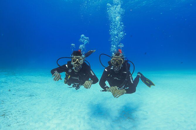 Basic Diver - Bautismo - An Honest Look at the Experience