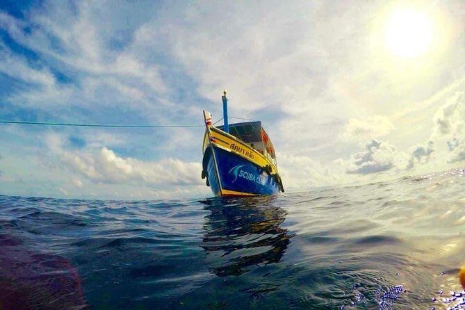 Basic Diver ( One Day Experience) - A Closer Look at the Koh Tao Basic Diver Experience