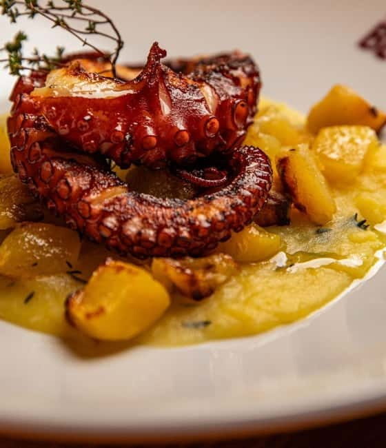 Basic fish tasting menu at the Signora Bettola restaurant - Who Should Consider This Experience?