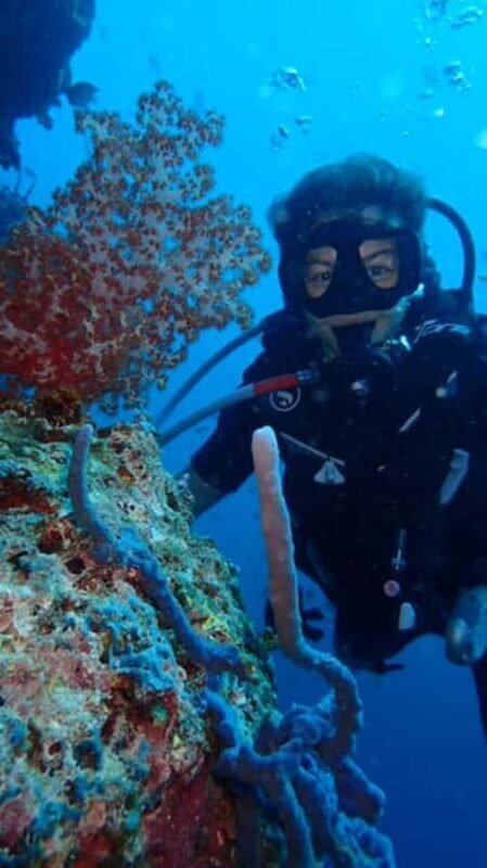 Basic Fun Dive At Menjangan Island - The Itinerary: What to Expect