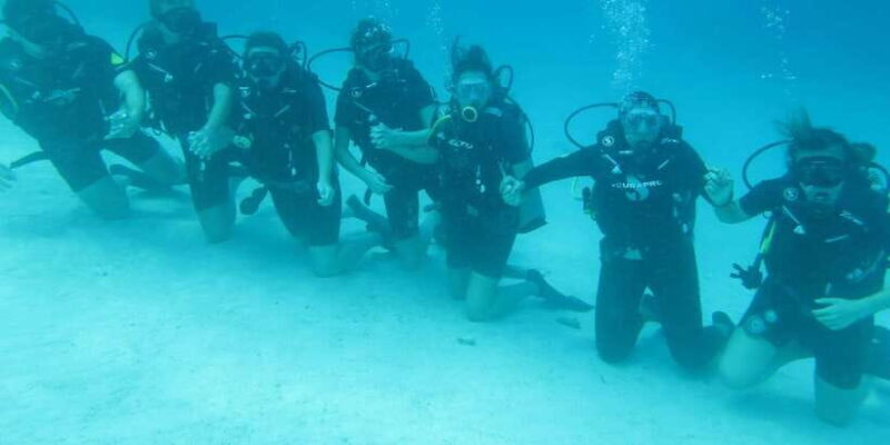 Basic Fun Dive at Menjangan Island - Exploring the Basic Fun Dive at Menjangan Island: A Practical Guide