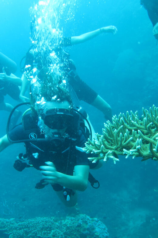 Basic Fun Dive at Menjangan Island - Frequently Asked Questions