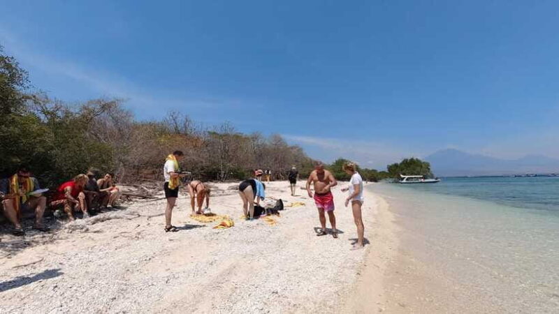 Basic Snorkeling Menjangan Island - Reviews and Authentic Feedback