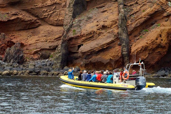 Basic Tour 2 - Quinta do Lorde to Cais do Sardinha and return - FAQ