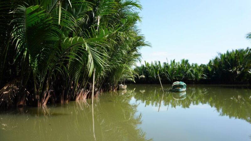Basket Boat at Coconut Village, Kitchen Show and Big Lunch - FAQ