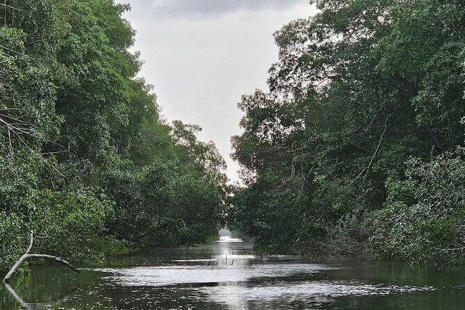 Basking in Nature during a Caroni Bird Sancturary Tour - Exploring the Itinerary in Detail