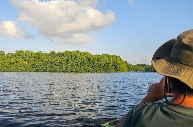 Basking in Nature during a Caroni Bird Sancturary Tour - Final Thoughts: Is It Worth It?
