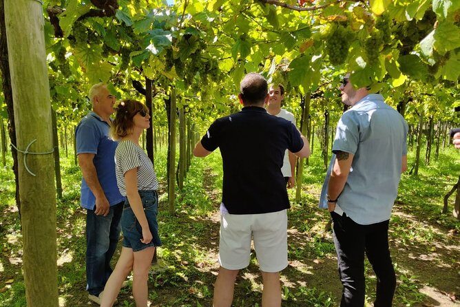 BASQUE CHEESE and TXAKOLI WINE - Private Gastronomic Adventure - FAQ