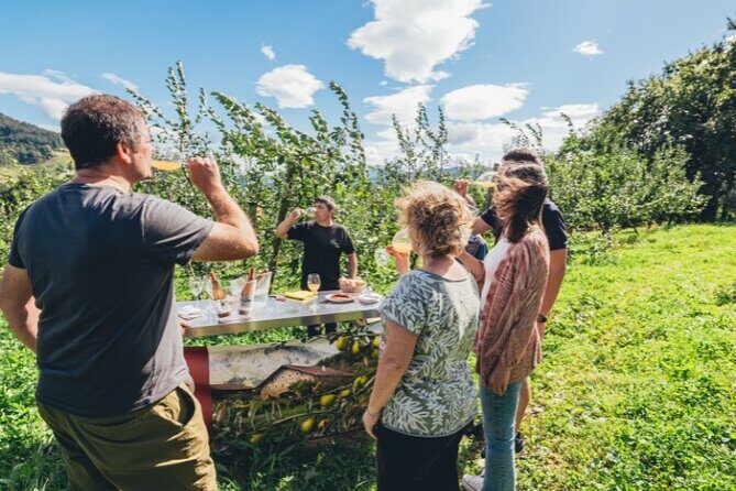 "Basque Whaleship & Cider House" tour + meal from San Sebastian - Final Thoughts