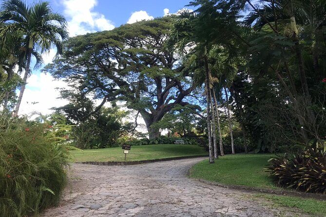 Basseterre Half Day Tour - The Sum Up