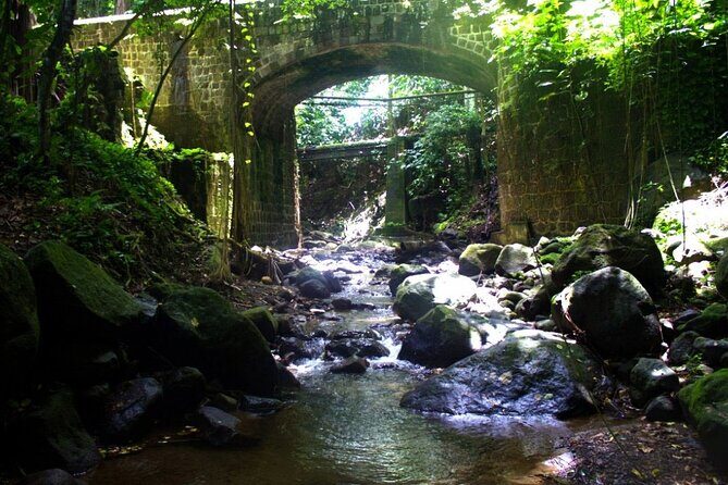 Basseterre Rainforest Hike - Key Points
