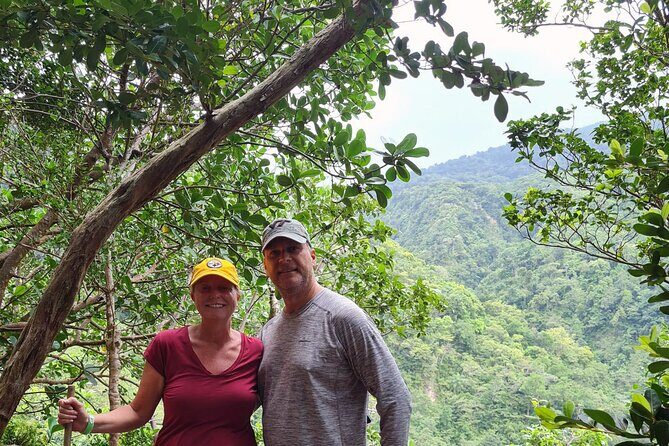 Basseterre Rainforest Hike - Who Should Consider This Tour?