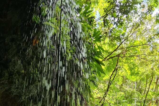 Basseterre Rainforest Hike - Frequently Asked Questions