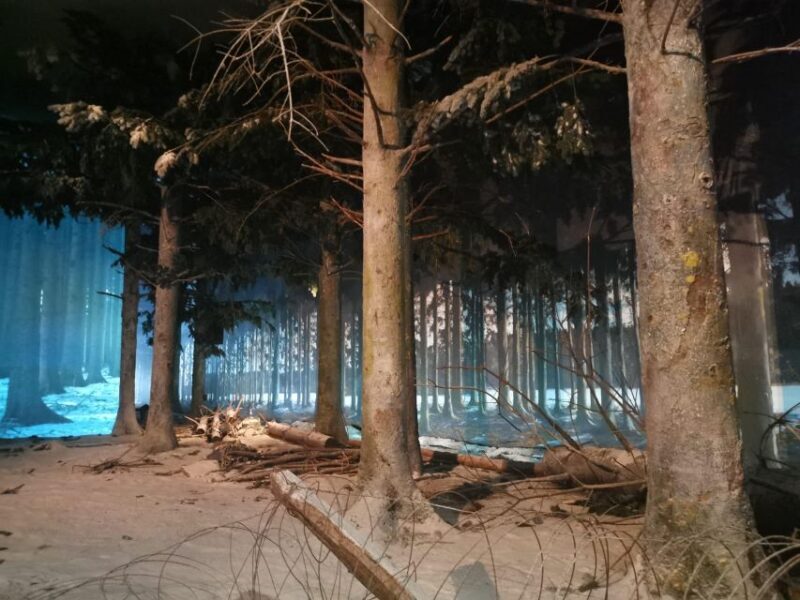 Bastogne, Battle of the Bulge Private Tour - An Unvarnished Look at the Itinerary and Experience