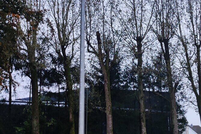 Bastogne & the Battle of the Bulge - 1 Day Tour from Brussels - The Practical Side: What’s Included and What’s Not