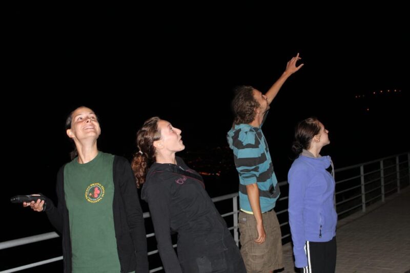 Bat Watching Madeira - Value and Overall Impression
