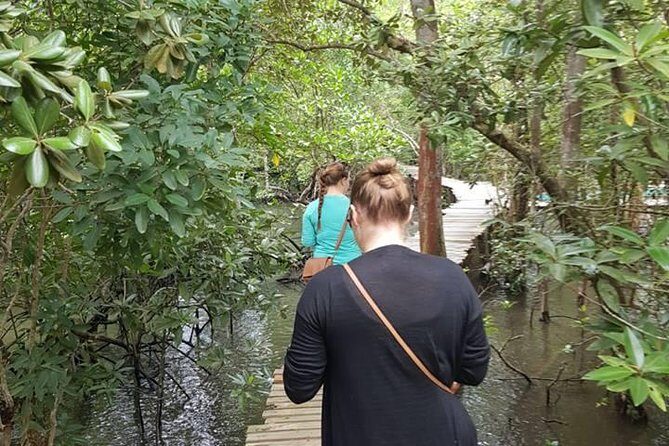 Batam Transport With Female Driver - The Sum Up