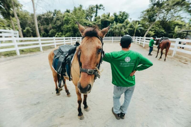Batangas: Countryside Private Horseback Ride with Cafe Stop - What’s the Experience Like?