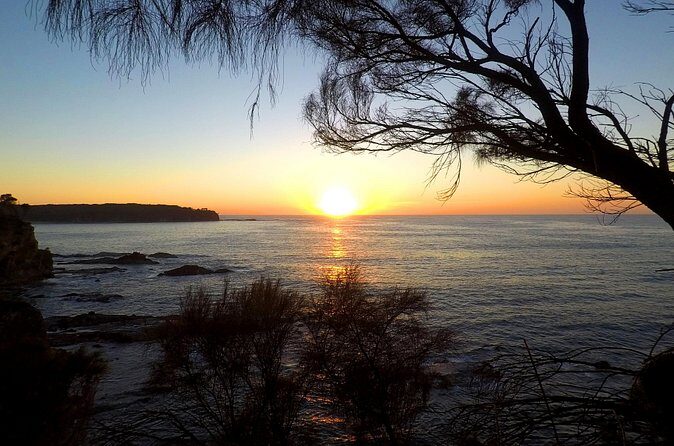 Batemans Bay Overnight Kayak Camping Tour - All Inclusive - Authentic Experiences: What Travelers Say