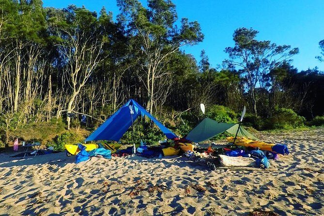 Batemans Bay Overnight Kayak Camping Tour from Canberra - All Inclusive - Who Should Consider This Tour?