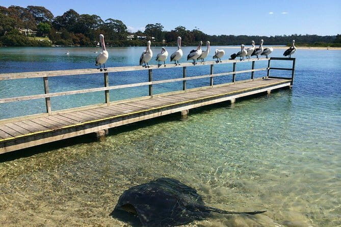 Batemans Bay Sunset Pizza Kayak Tour - Float and Feast - Practical Details & Tips
