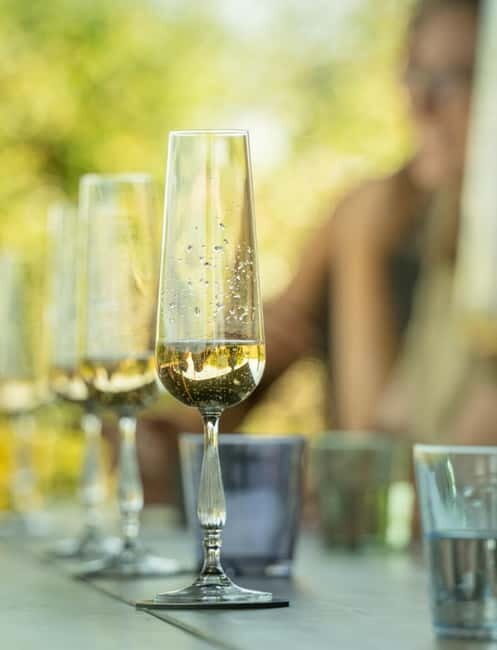 Bath: Vineyard Tour, Wine Tasting, and Music Pairing - Introducing the Bath Vineyard Tour, Wine Tasting, and Music Pairing