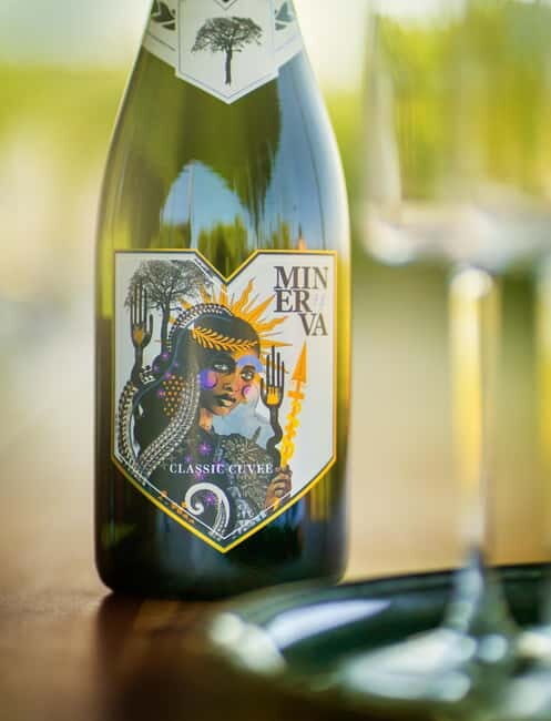 Bath: Vineyard Tour, Wine Tasting, and Music Pairing - The Sum Up