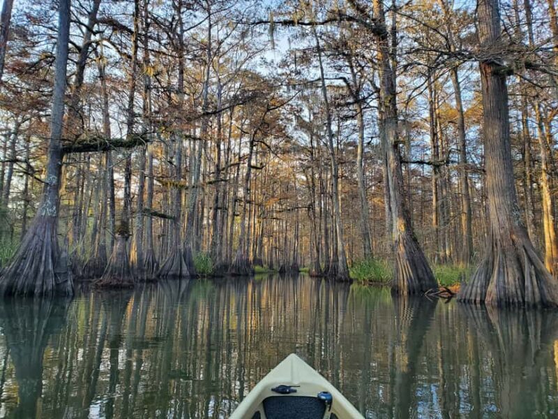 Baton Rouge: Kayak Tour Through the Historic Atchafalaya - What the Tour Includes and Why It Matters