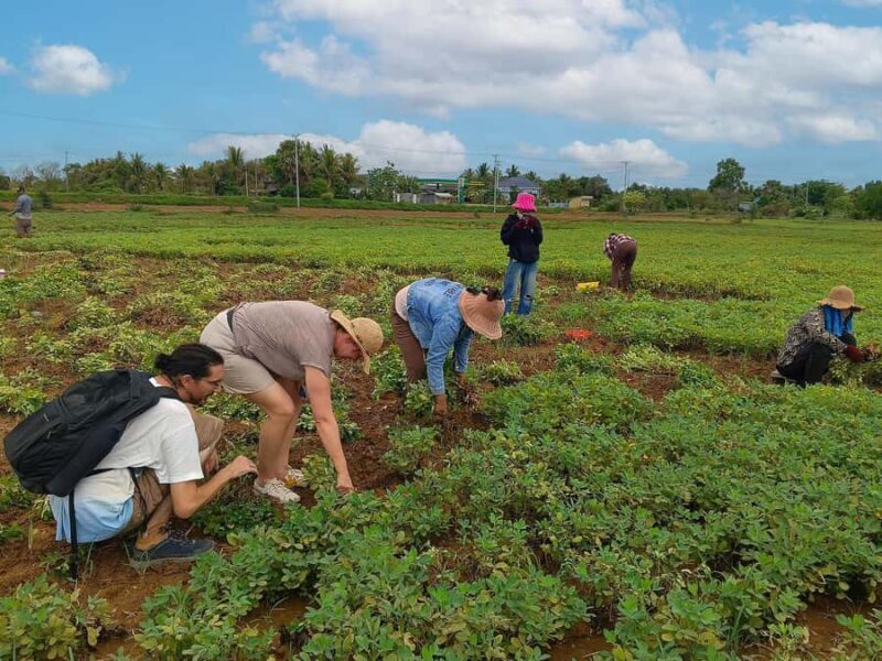 Battambang: Bamboo Train, Killing Cave, & Bat Cave Tour - An In-Depth Look at the Tour