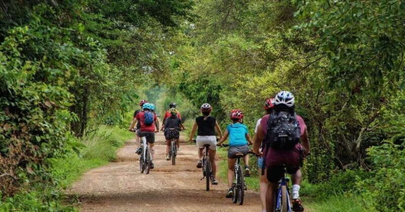 Battambang: Local Livelihood Bike Tour - What You Can Expect from the Itinerary