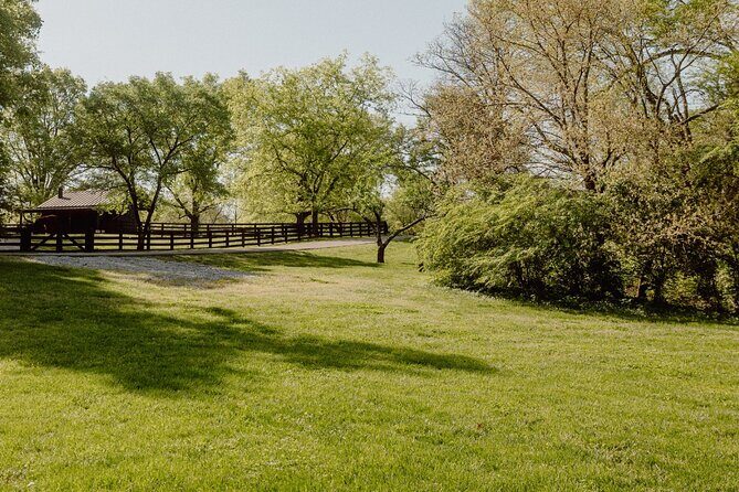 Battle at Belle Meade Civil War Tour & Complimentary Wine Tasting - The Sum Up