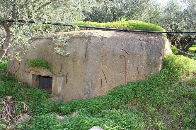 Battle of Crete Full Day Private Tour in Chania - FAQs