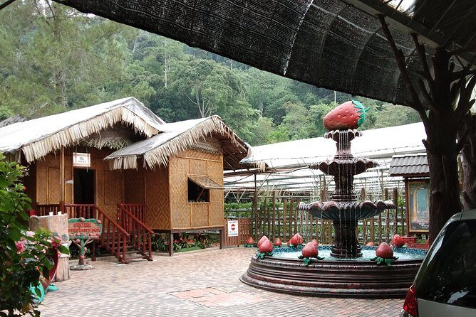 Batu Caves and Genting Highland Tour - What the Reviews Say