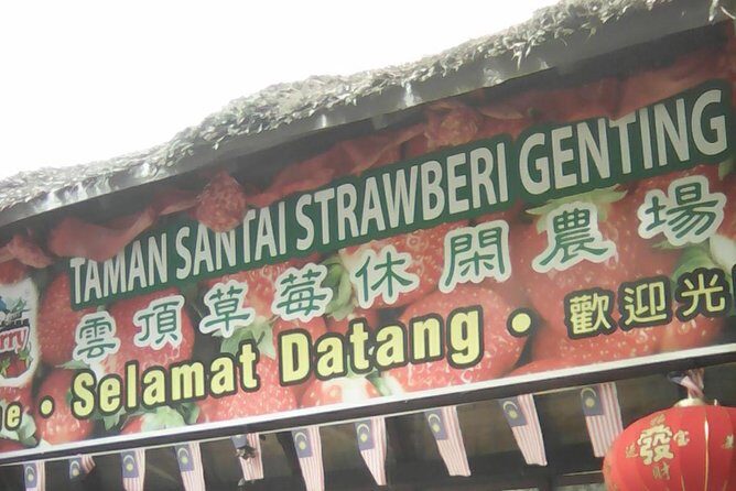 Batu Caves and Genting Highland Tour - The Sum Up: Who Is This Tour Best For?