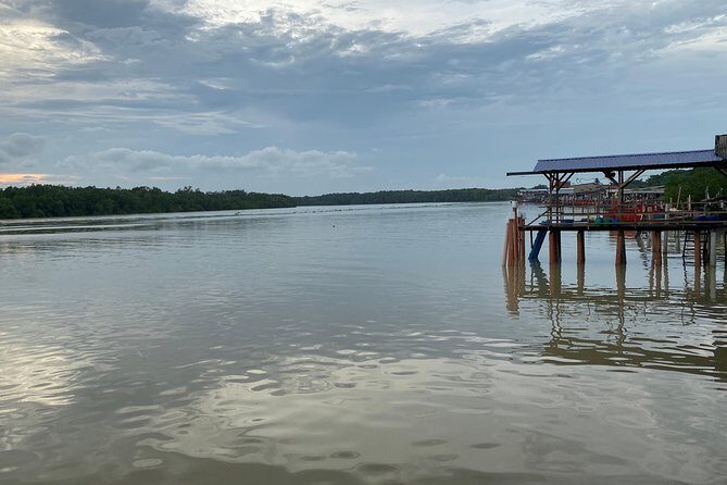 Batu Caves and Watching Fireflies in Kuala Selangor - Who Will Love This Tour?