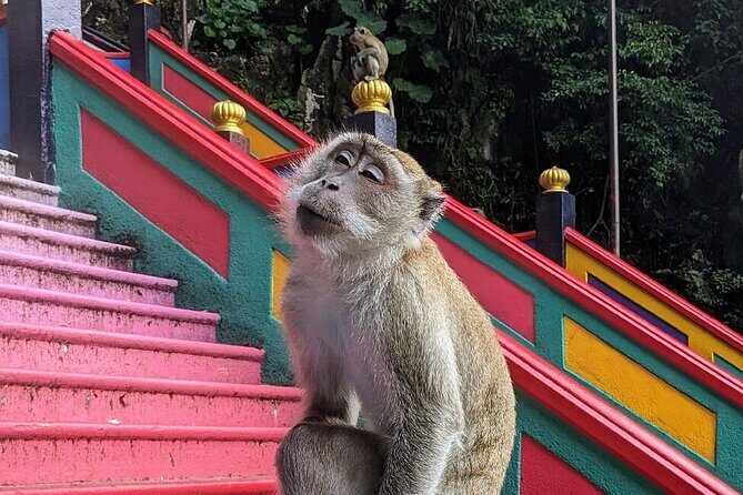 Batu Caves, Waterfalls and Hot Springs Tour With Lunch - What Travelers Are Saying: Real Experiences