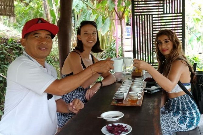 Batuan Temple Celuk Village Balinese Dance Private Guide Tour - Waterfalls and Natural Beauty