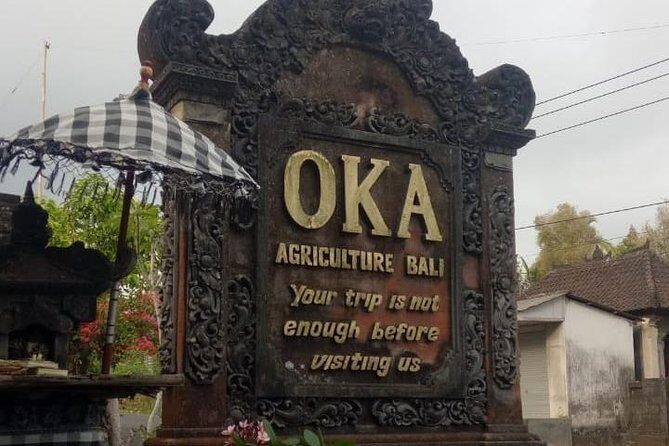 Batuan Temple Celuk Village Balinese Dance Private Guide Tour - What the Tour Means for You