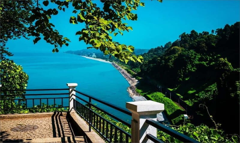 Batumi: Exploring Botanical Garden + Family Wine Tasting - What to Expect on the Day