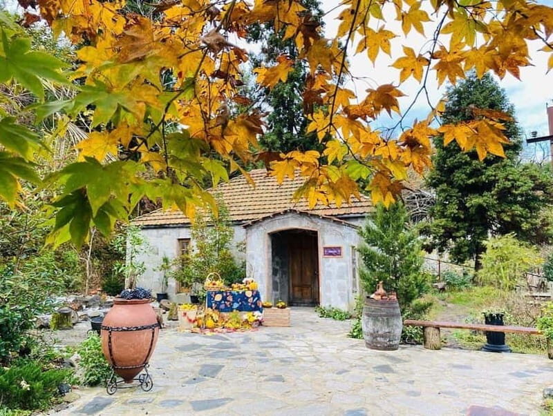 Batumi: Exploring Botanical Garden + Family Wine Tasting - Final Thoughts