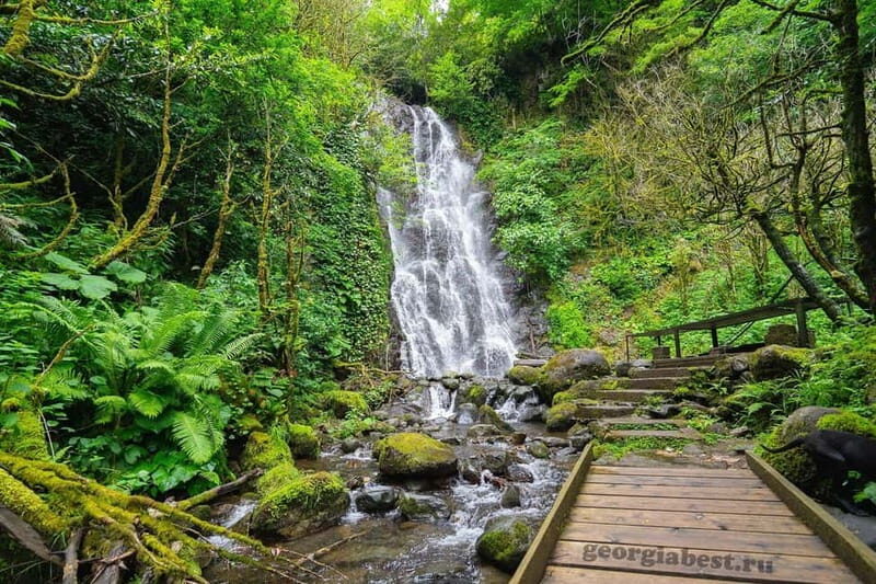 Batumi: Mountain Adjara Tour & Traditional Georgian Feast - Who Should Consider This Tour?