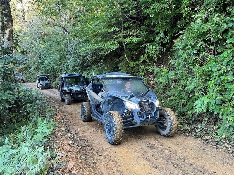 Batumi: Mtirala ATV, Buggy and Horse Riding Adventure Trip - Practical Details: Making the Most of Your Trip