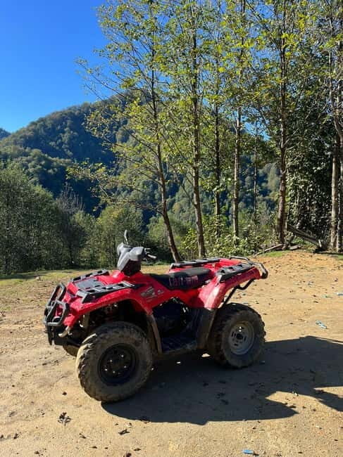 Batumi: Mtirala ATV, Buggy and Horse Riding Adventure Trip - Who Will Love This Experience?