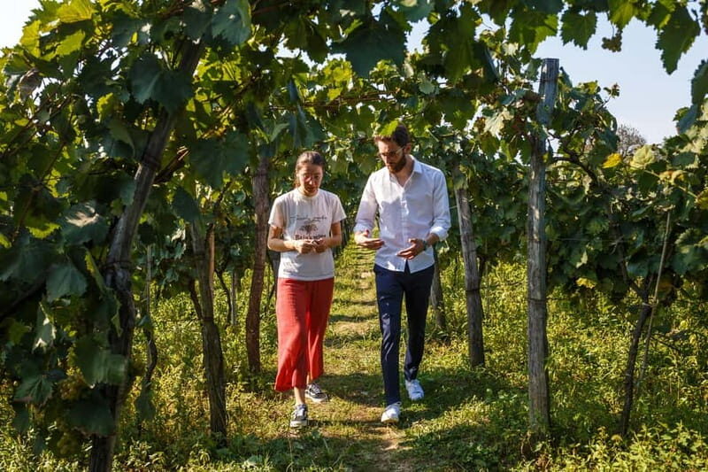 Batumi to Kutaisi, Wine & Dine - Starting from Batumi: Long but Worthwhile